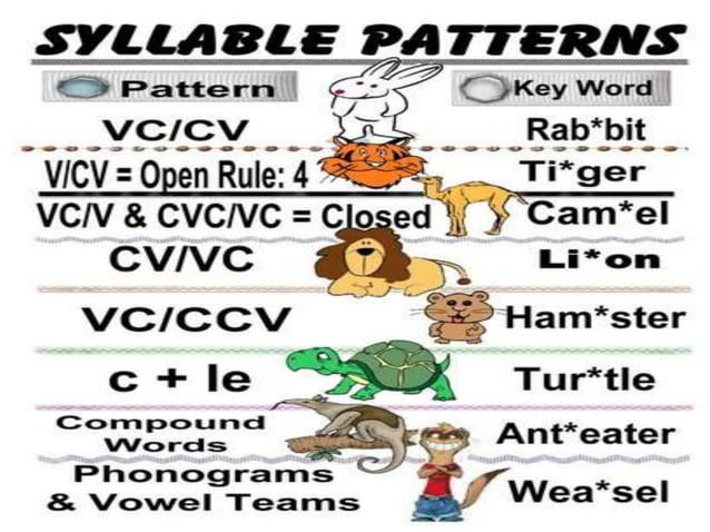 Identifying sounds and counting the syllables | PPTX