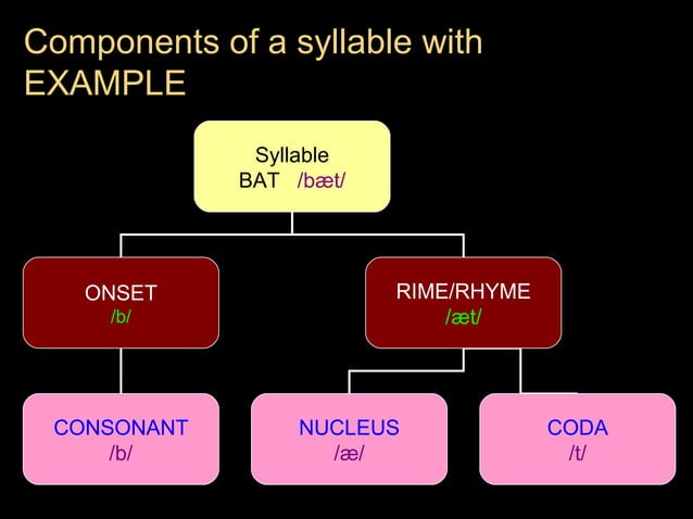 Syllable structure