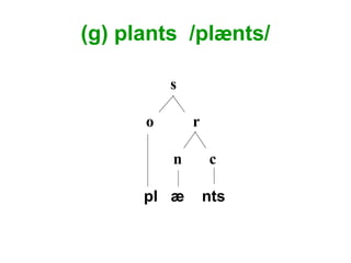 syllable structure power point presentation | PPT