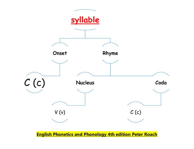 Syllable Structure in MSA | DOCX
