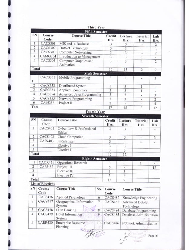 Syllabus BCA_Tribhuvan University | PDF | Free Download