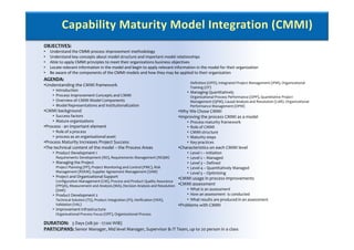 Syllabus capability maturity model | PDF