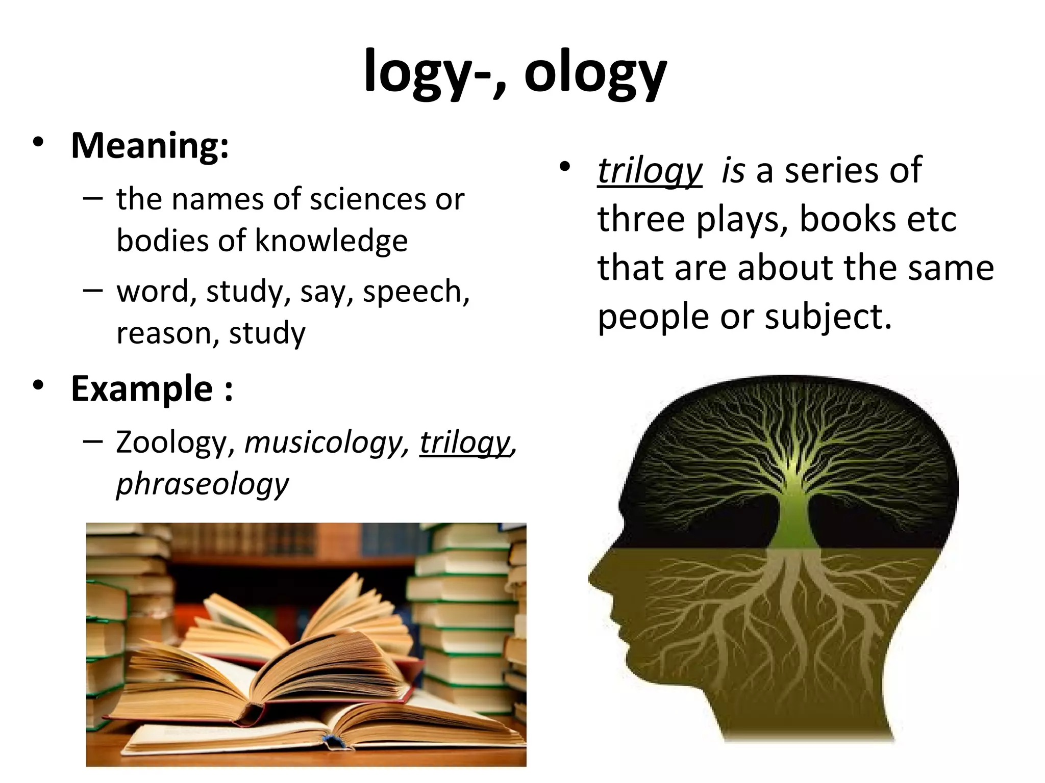 Sylvia and Ann's Word Affix Project | PPT