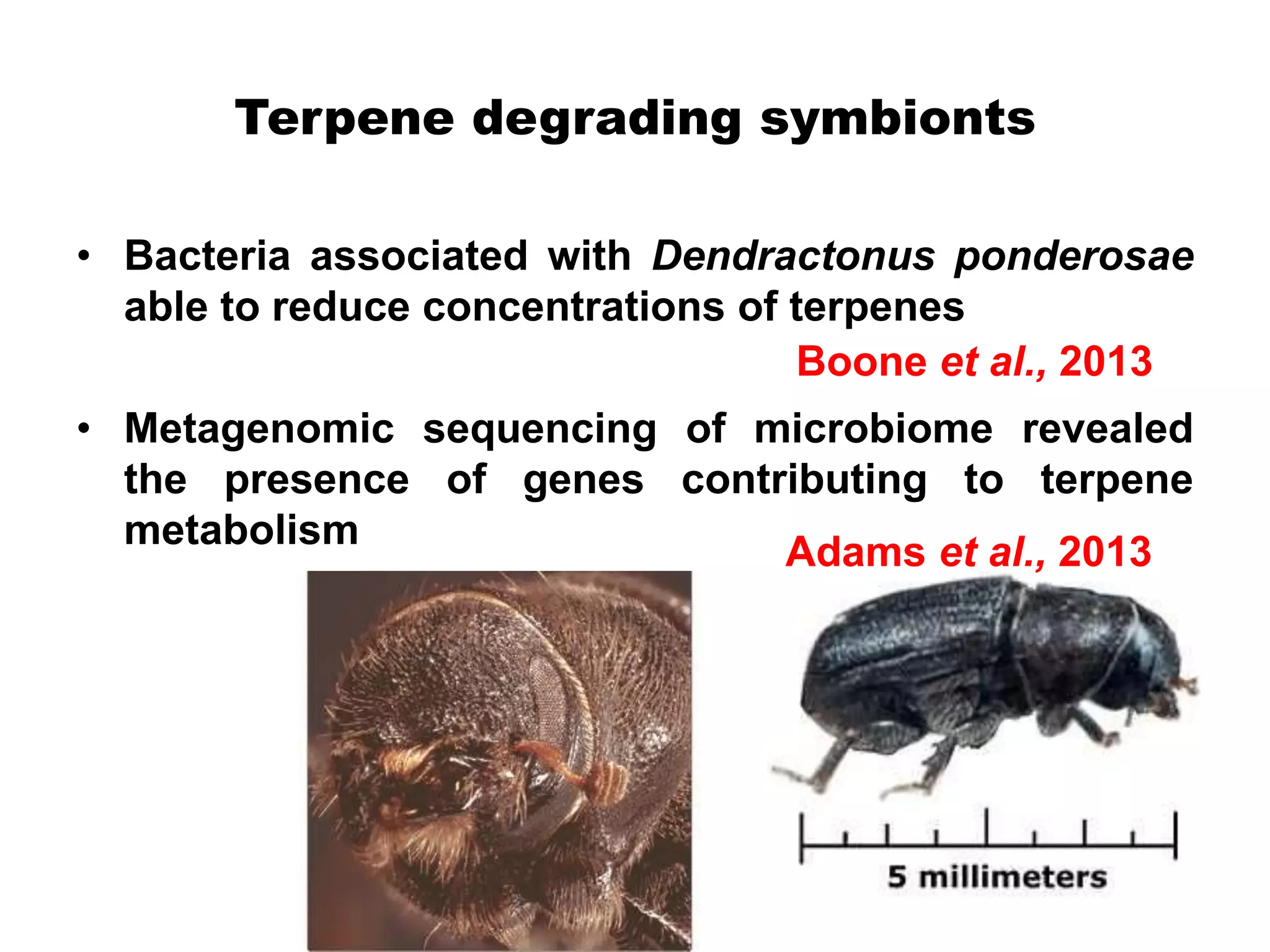Symbiont mediated protection in insect hosts | PPTX