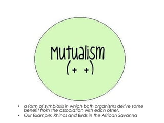 Symbiosis | PPT | Biological Sciences | Science