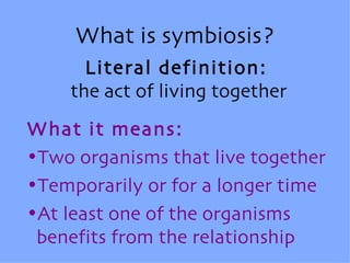 Symbiosis | PPT