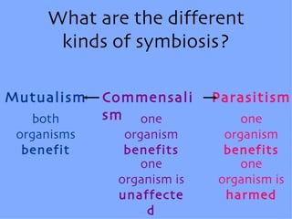 Symbiosis | PPT