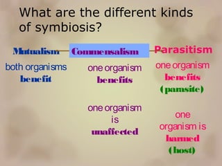 Symbiosis | PPT