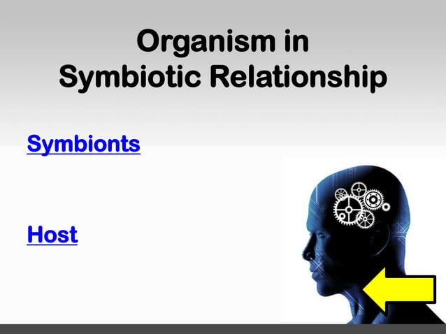 Symbiosis Powerpoint Presentation | PPTX