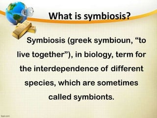 Symbiosis Powerpoint Presentation | PPTX