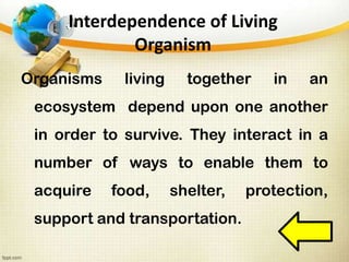 Symbiosis Powerpoint Presentation | PPTX