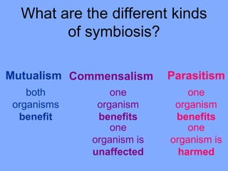 Symbiosis | PPTX
