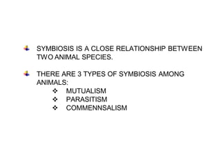 Symbiosis.docx
