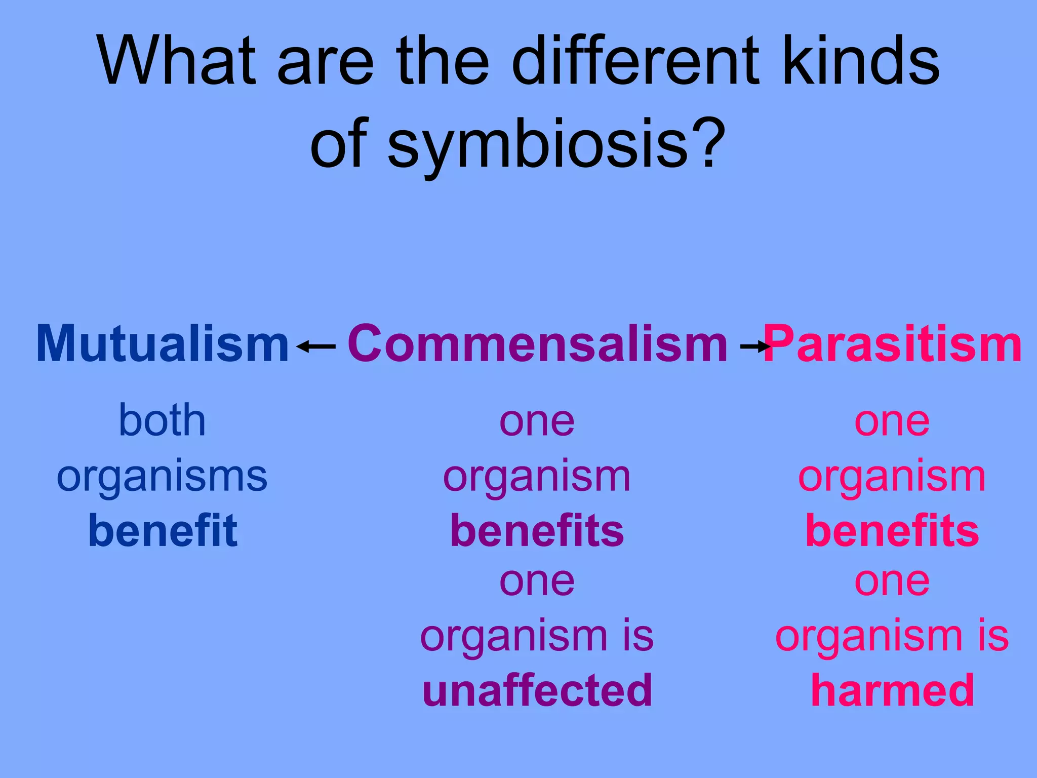 Understanding Symbiosis | PDF