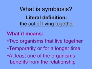 symbiont | PPT