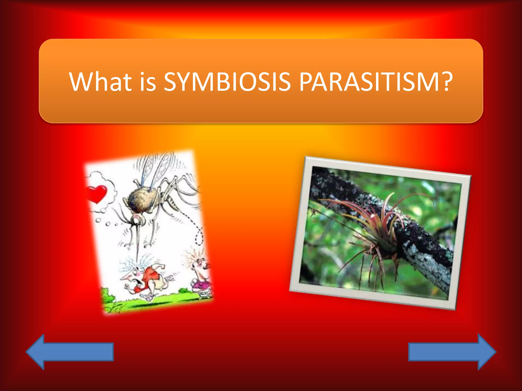 Symbiosis parasitism | PPT