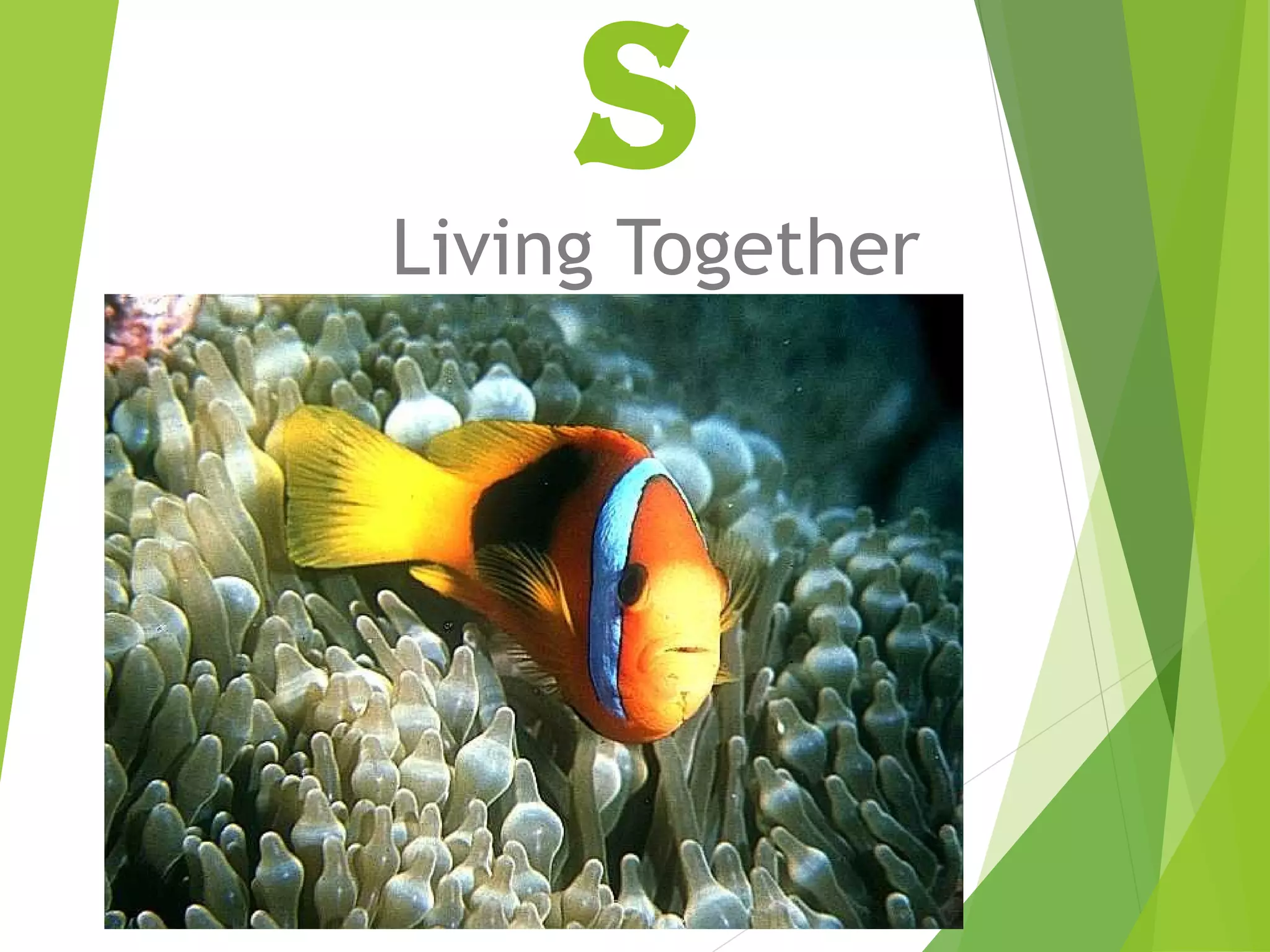 Symbiosis ppt | PPT