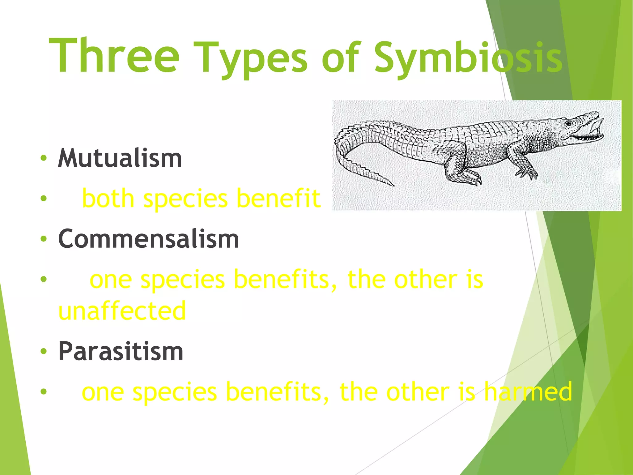 Symbiosis ppt | PPT