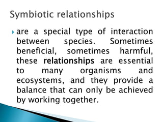 Symbiosis Presentation.pptx