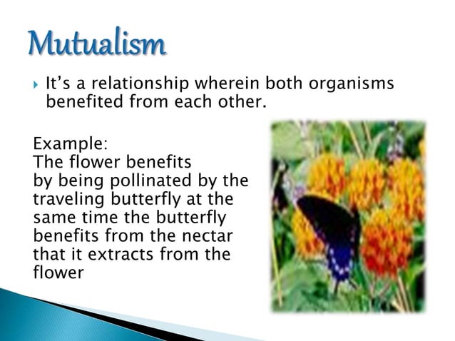 Symbiosis Presentation.pptx