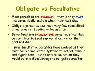 Symbiotic Relationships | PPT