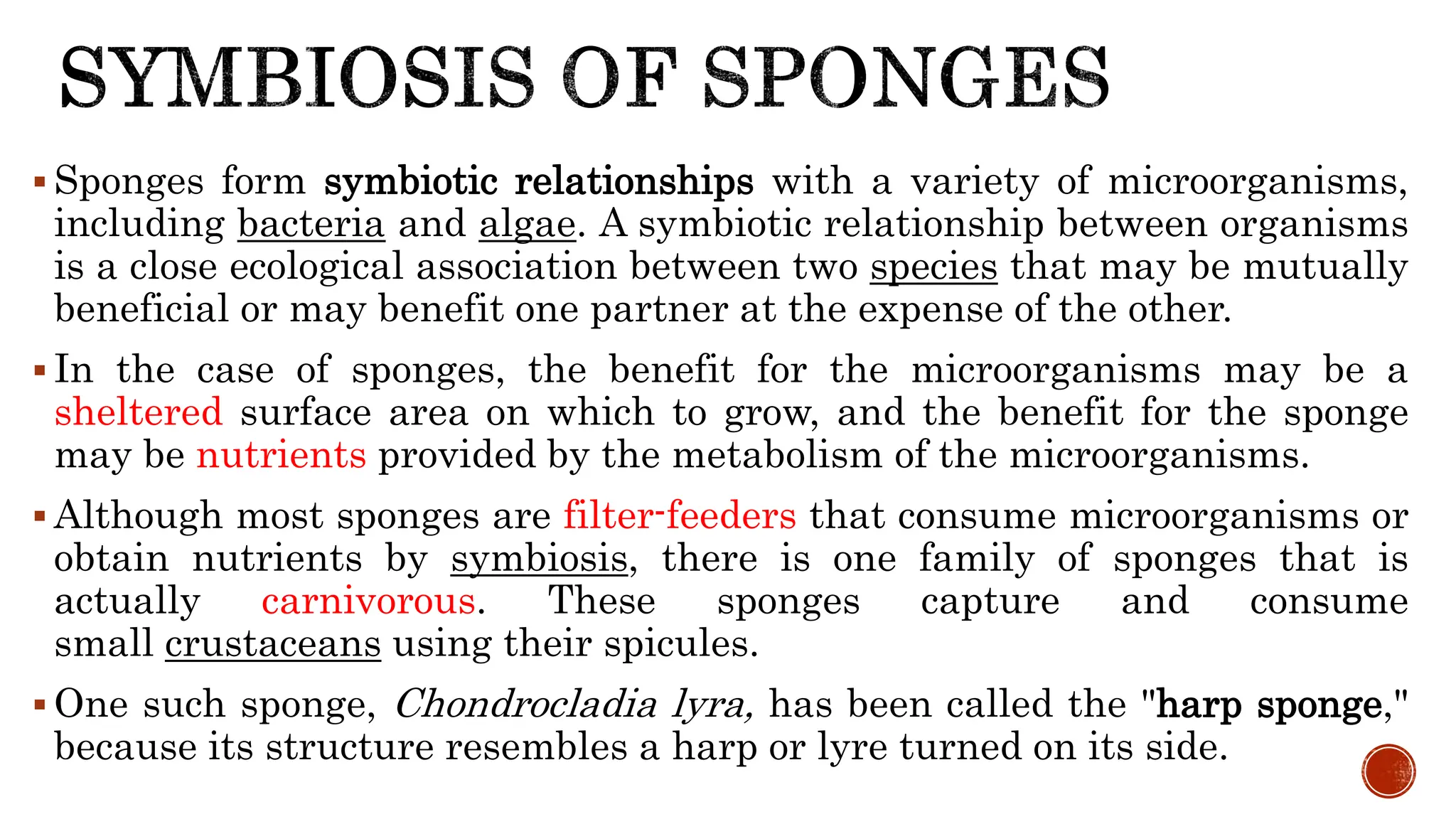 Introduction and significance of Symbiotic algae | PPTX