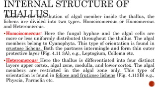 Introduction and significance of Symbiotic algae | PPTX