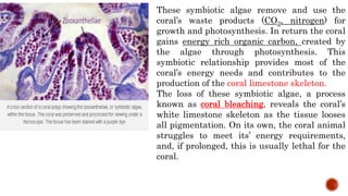 Introduction and significance of Symbiotic algae | PPTX