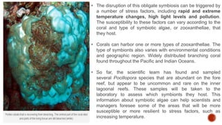 Introduction and significance of Symbiotic algae | PPTX