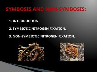 symbiotic and non symbiotic nitrogen fixation.pptx