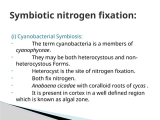 symbiotic and non symbiotic nitrogen fixation.pptx