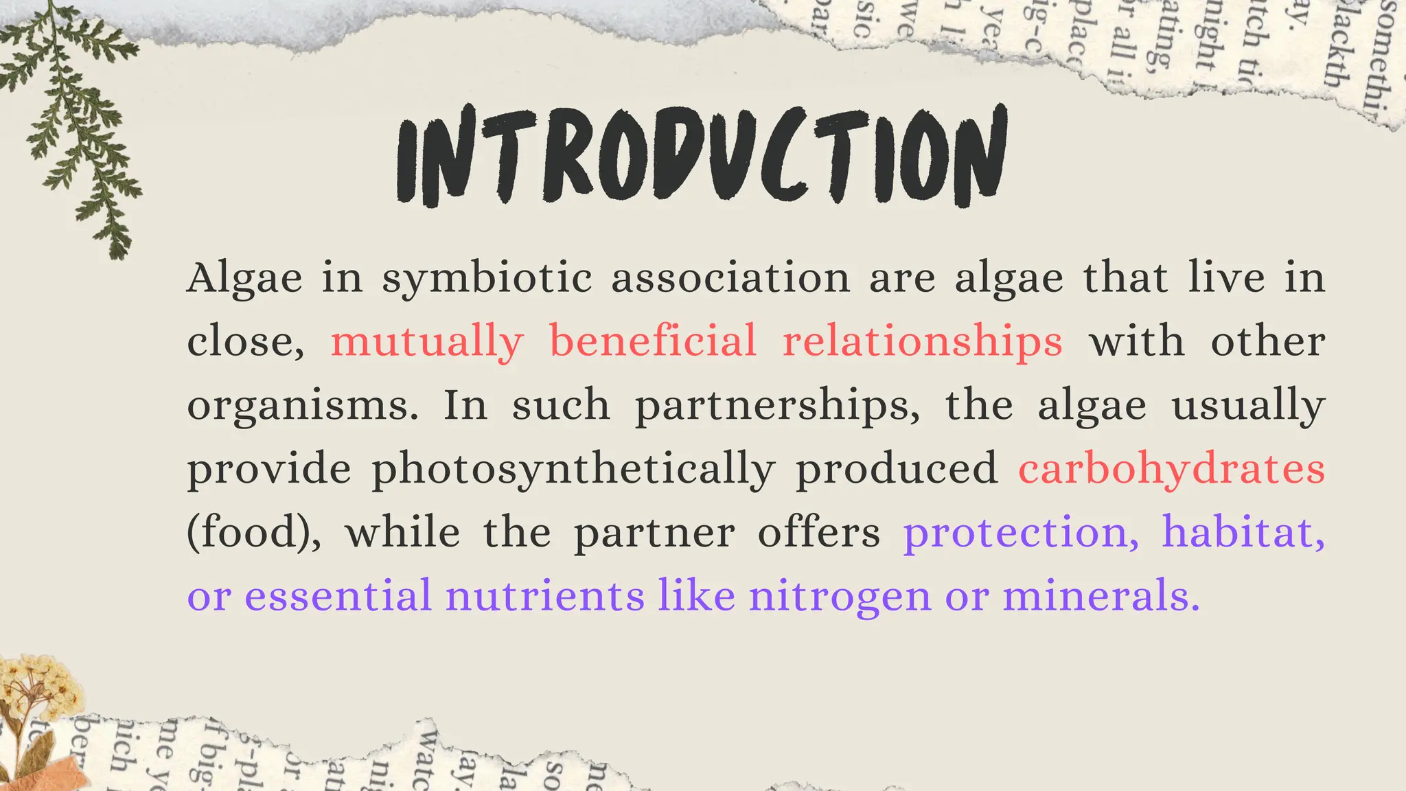 Symbiotic Association of Algae Detailed.pdf