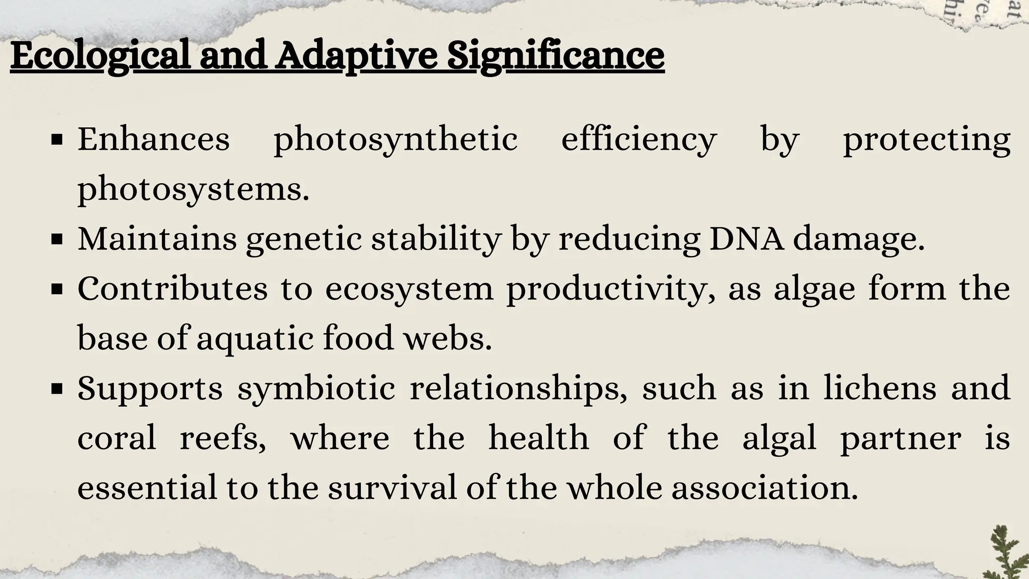 Symbiotic Association of Algae Detailed.pdf