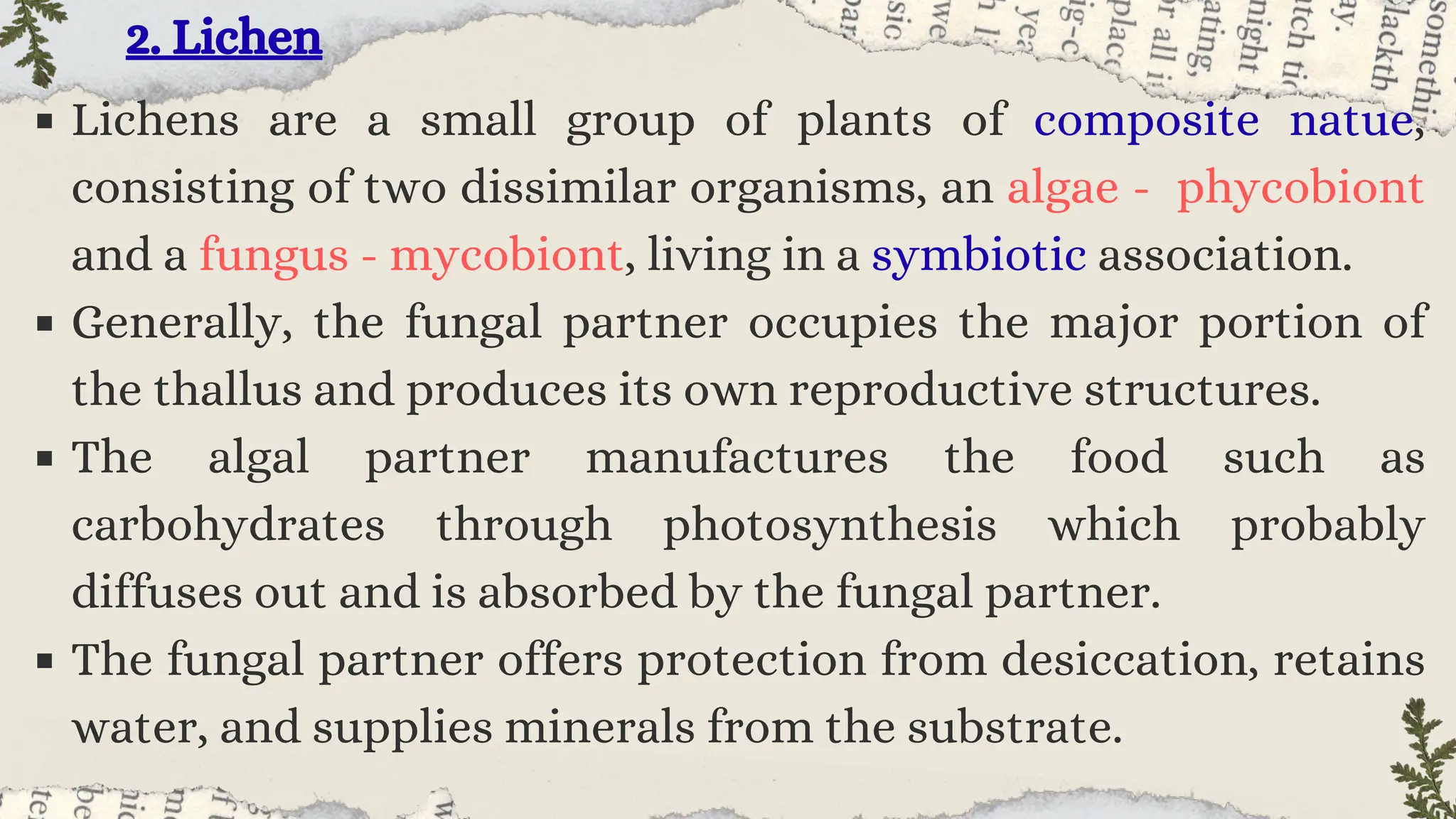 Symbiotic Association of Algae Detailed.pdf