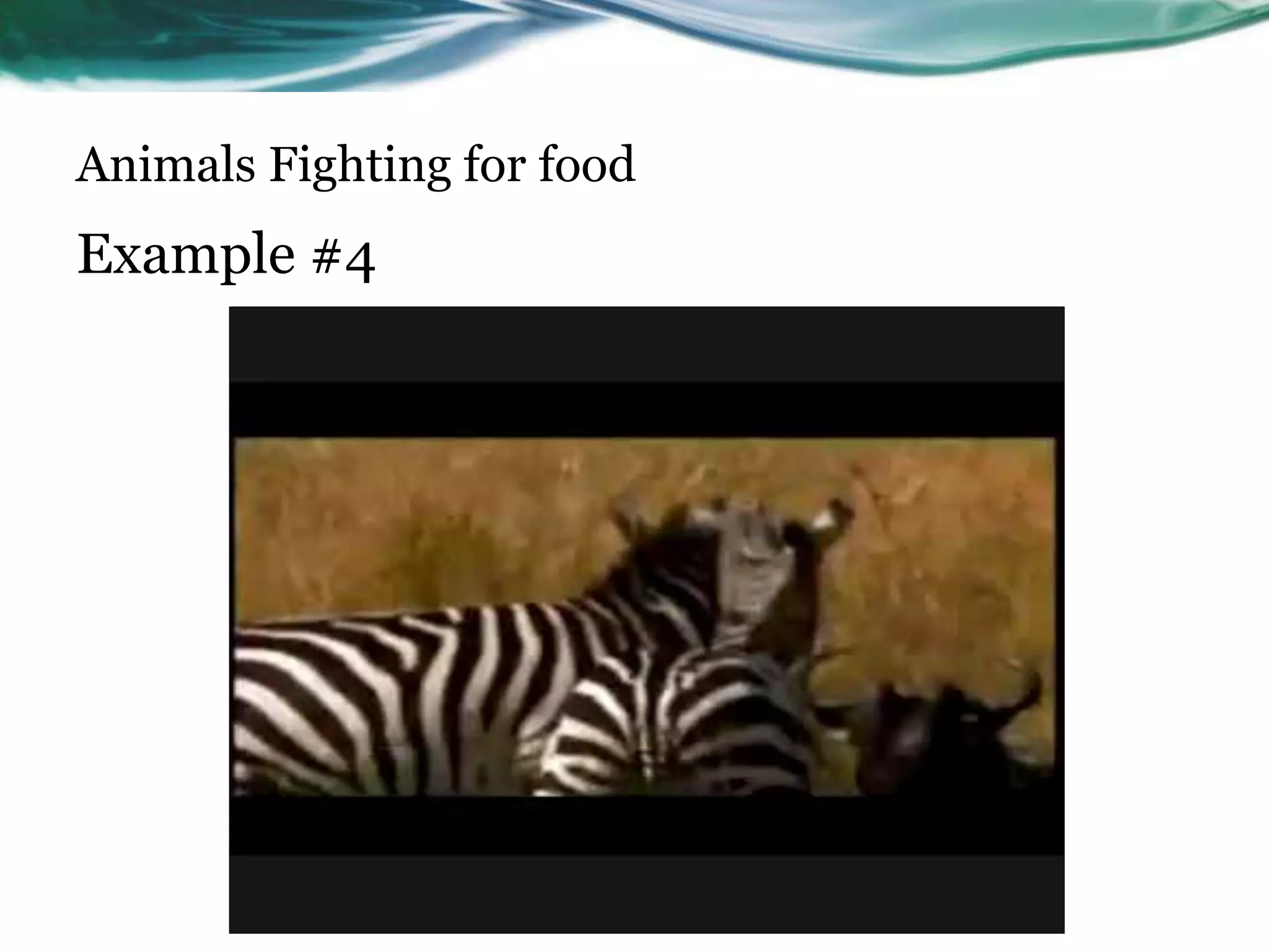 Symbiotic competition | PPTX