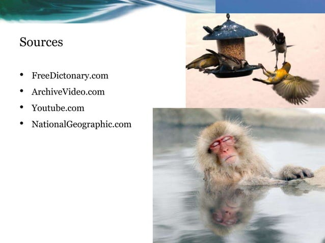 Symbiotic competition | PPT