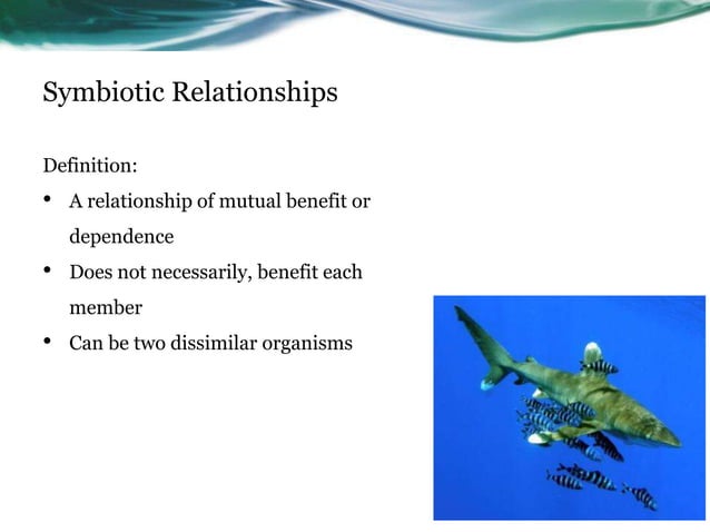 Symbiotic competition | PPT