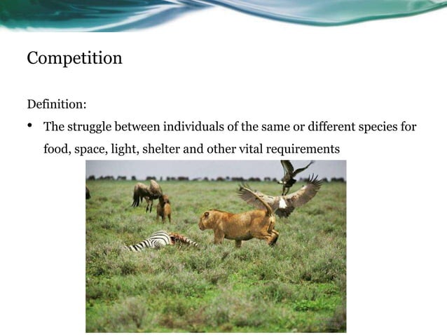 Symbiotic competition | PPT