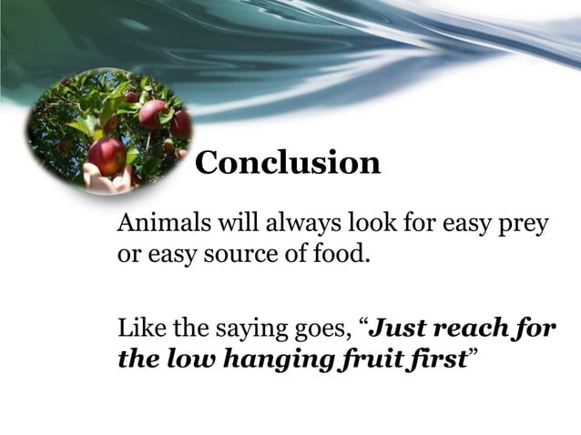 Symbiotic competition | PPT