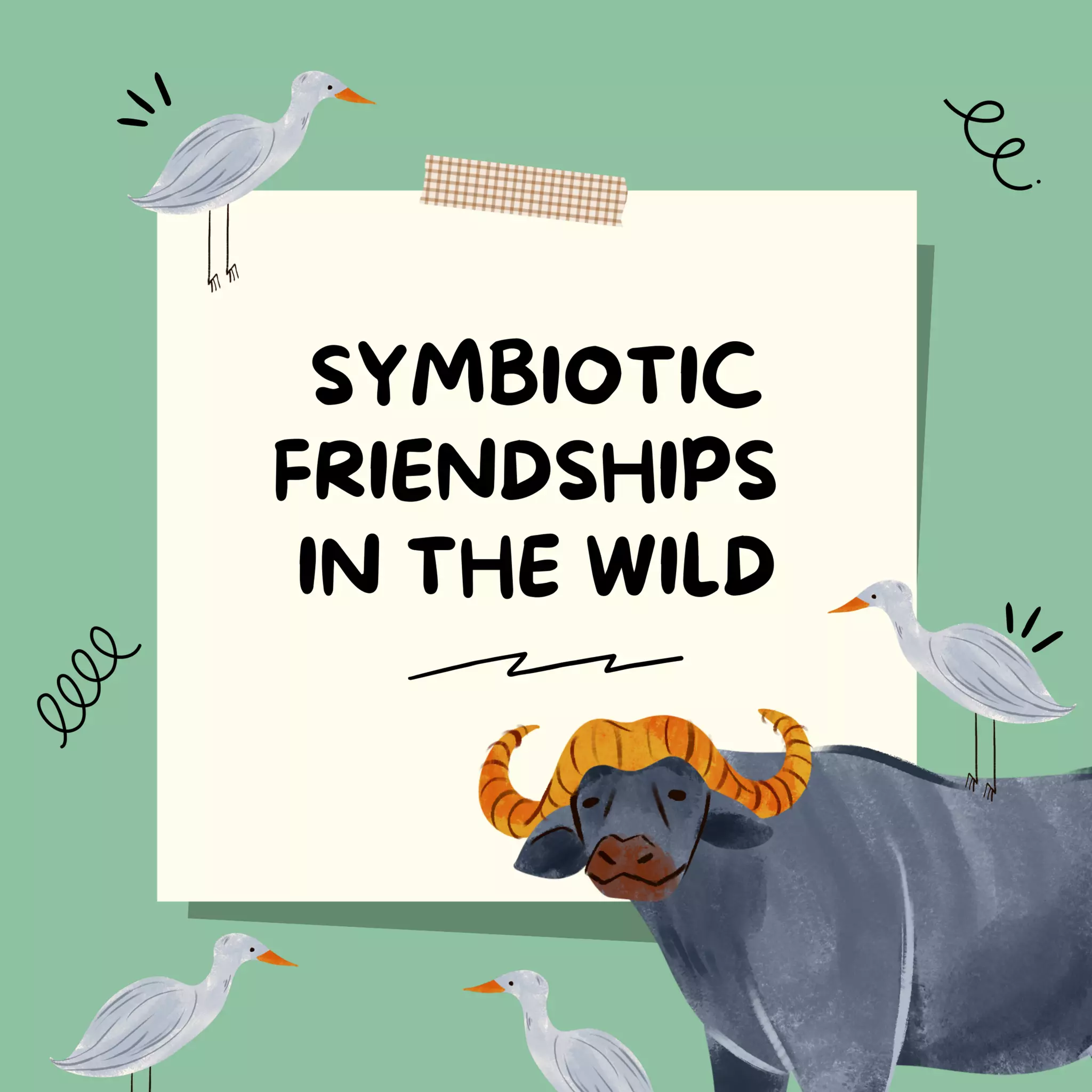 Symbiotic Friendships Activity Story Book | PDF