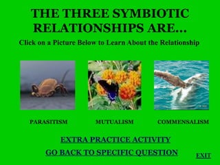 symbioticrelations.ppt