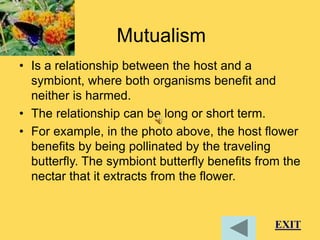 symbioticrelations.ppt