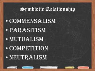 Symbiotic relationship | PPTX
