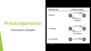 Symbiotic relationship | PPTX