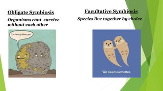 Symbiotic relationship | PPTX