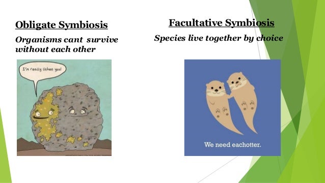 Symbiotic relationship