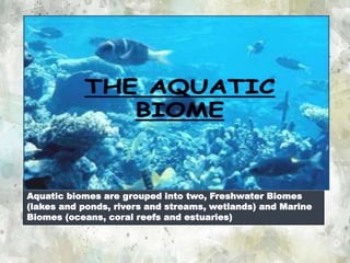 Symbiotic Relationship | PPTX