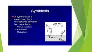 SYMBIOTIC RELATIONSHIP Science 7 quarter 2.pptx