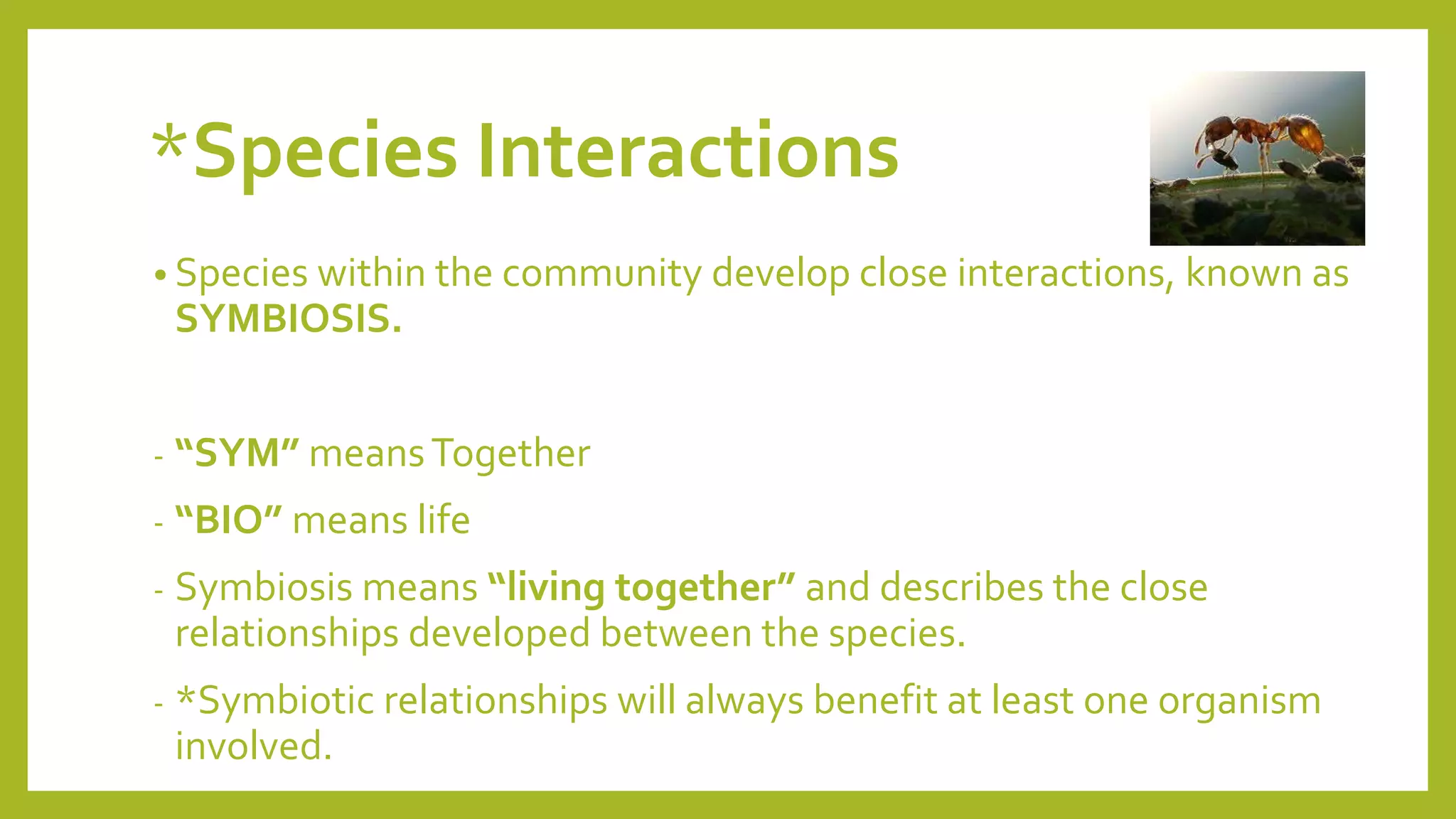 Symbiotic relationship revised.pptx