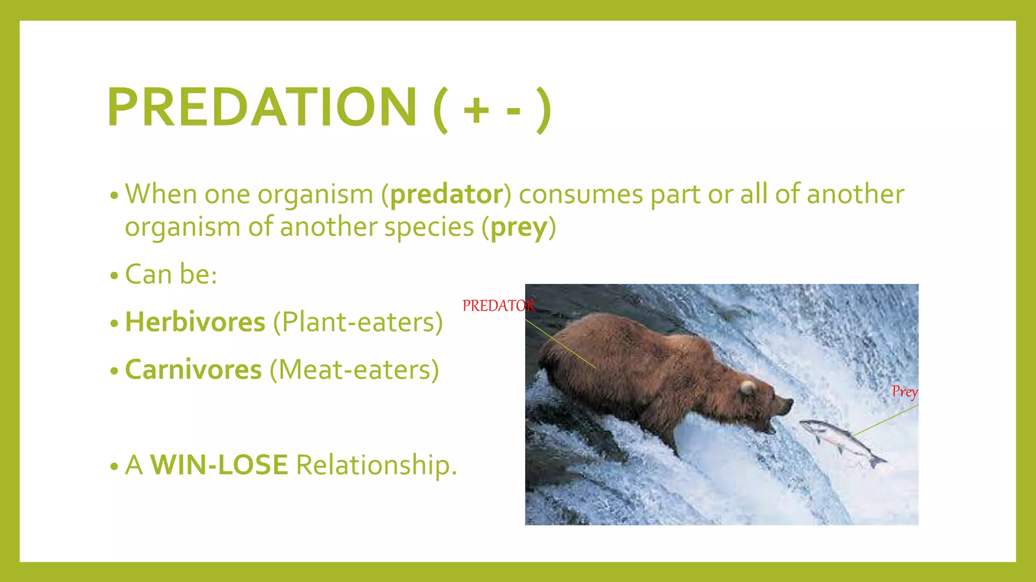 Symbiotic relationship revised.pptx